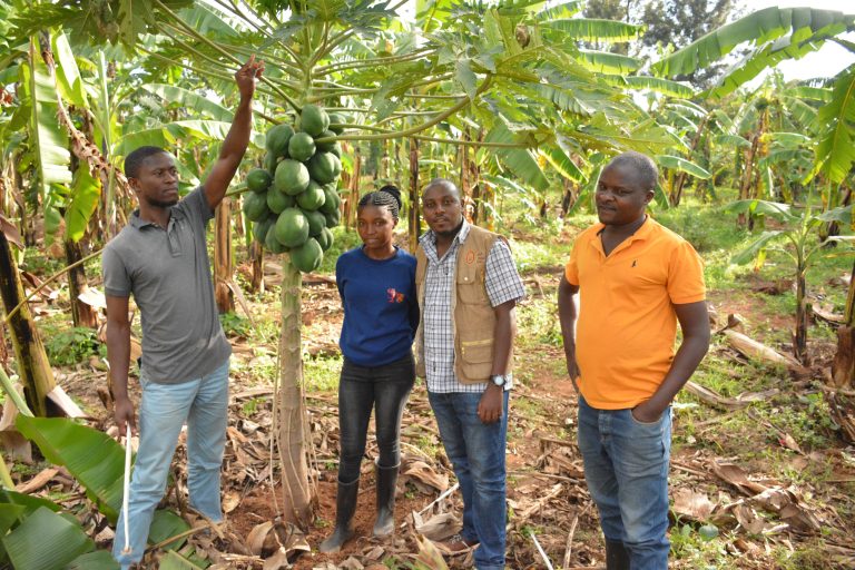 Signs of Success: Trees’ First Fruits in Environmental Conservation ...