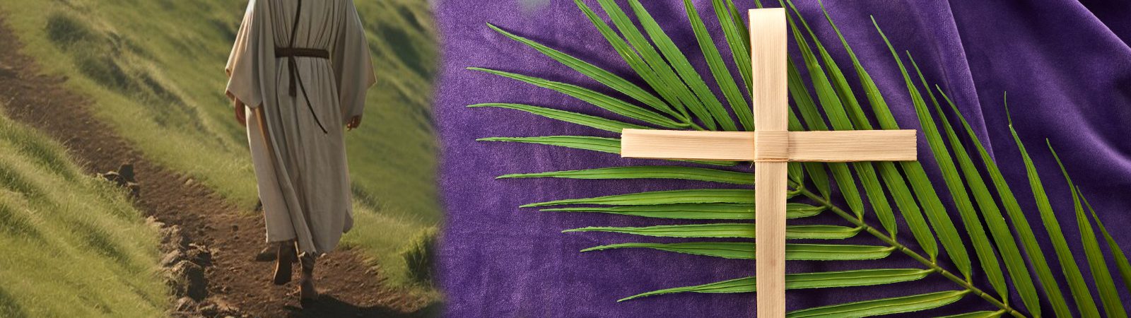 First Sunday of Lent 2025 Reflection; Walking the Lenten Journey - AJAN